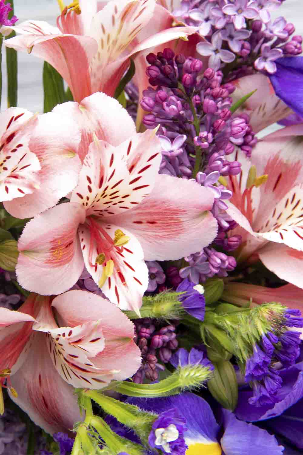 Perfumes Florales | Opera Gallery Mx